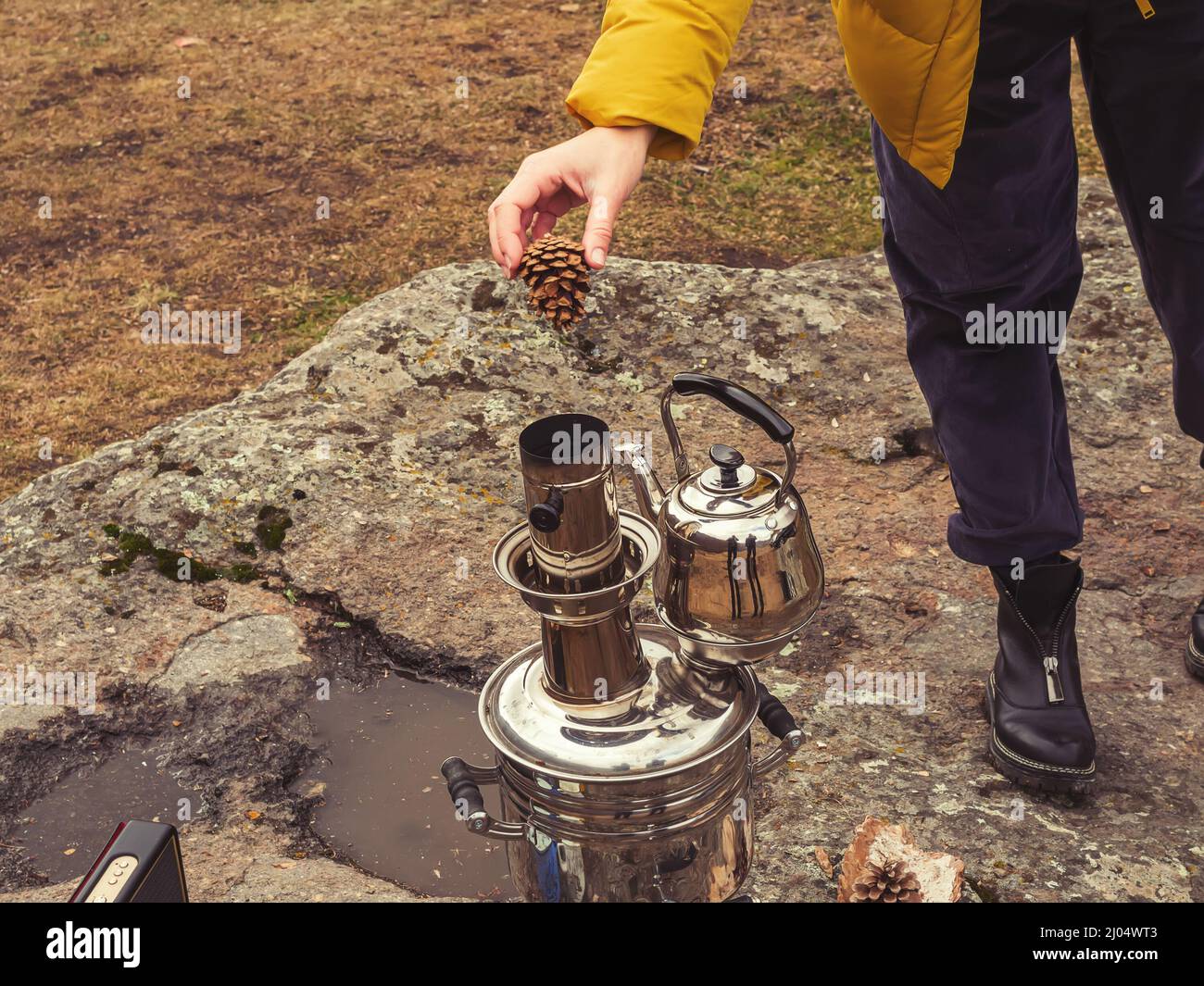A woman's hand throws a cone into the chimney of samovar. Drinking tea ...