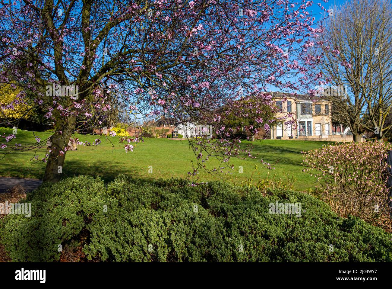 Spring at Carr Bank Park in Mansfield, Nottinghamshire England UK Stock ...
