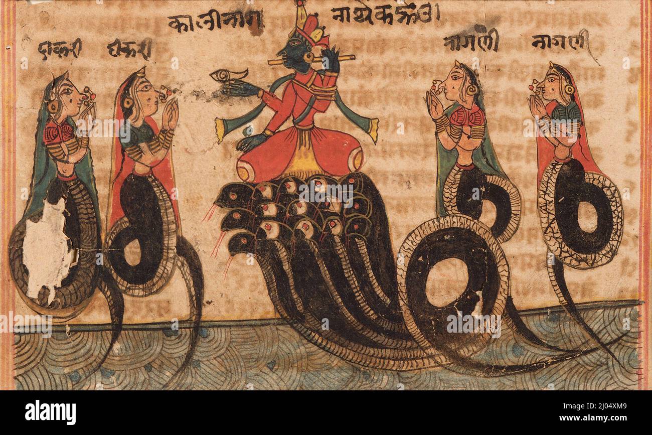 Krishna Quelling the Serpent King Kaliya, Folio from a Bhagavata Purana ...