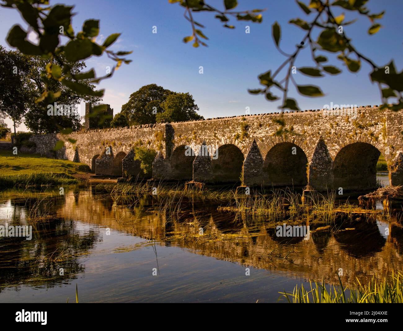 Bective Bridge and Abbey, River Boyne, County Meath, Ireland Stock ...