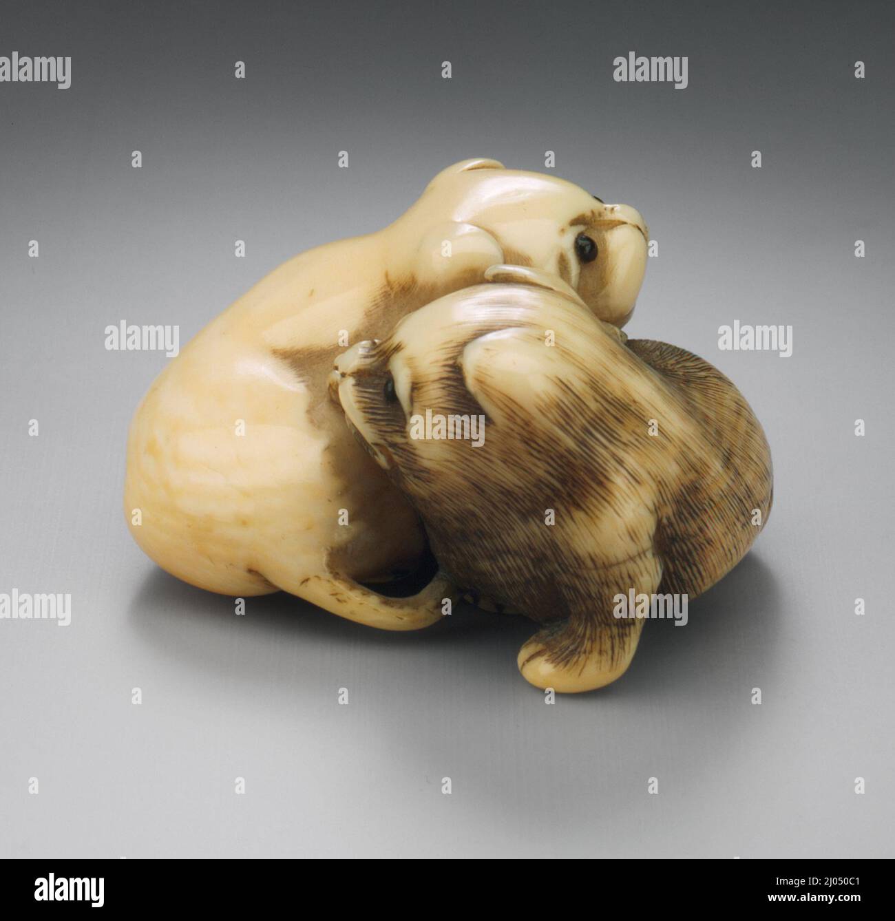 Two Puppies. Japan, early 19th century. Costumes; Accessories. Ivory ...
