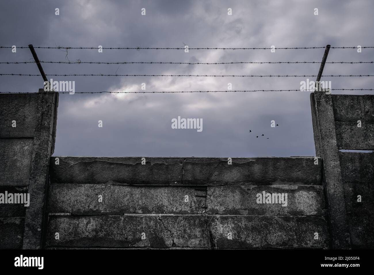 Poland-Ukraine border fence - NOWA GROBLA, POLAND/UKRAINE BORDER ...