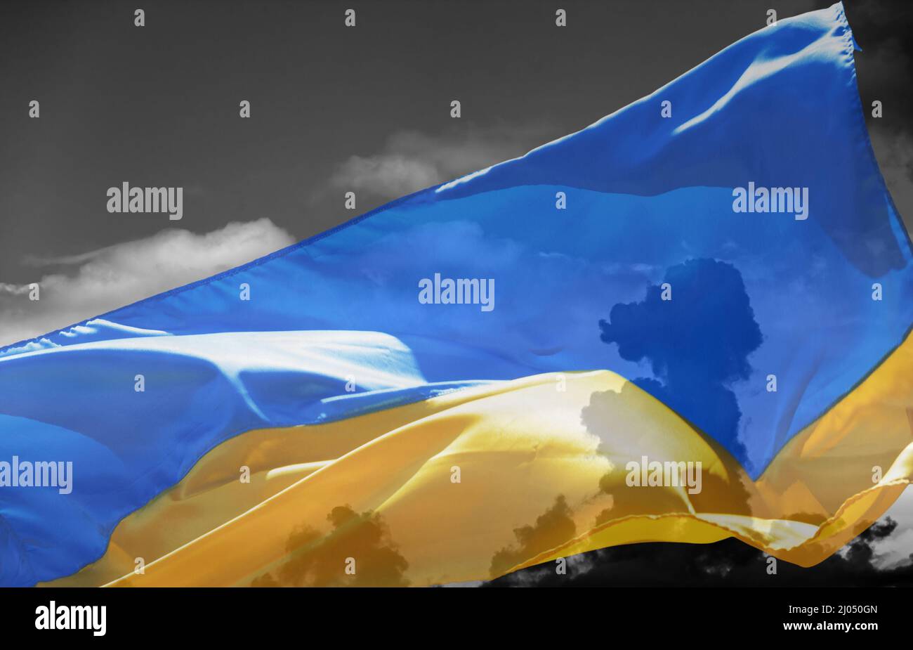 Sunlight flag of Ukraine waving on black and white sky with clouds in ...