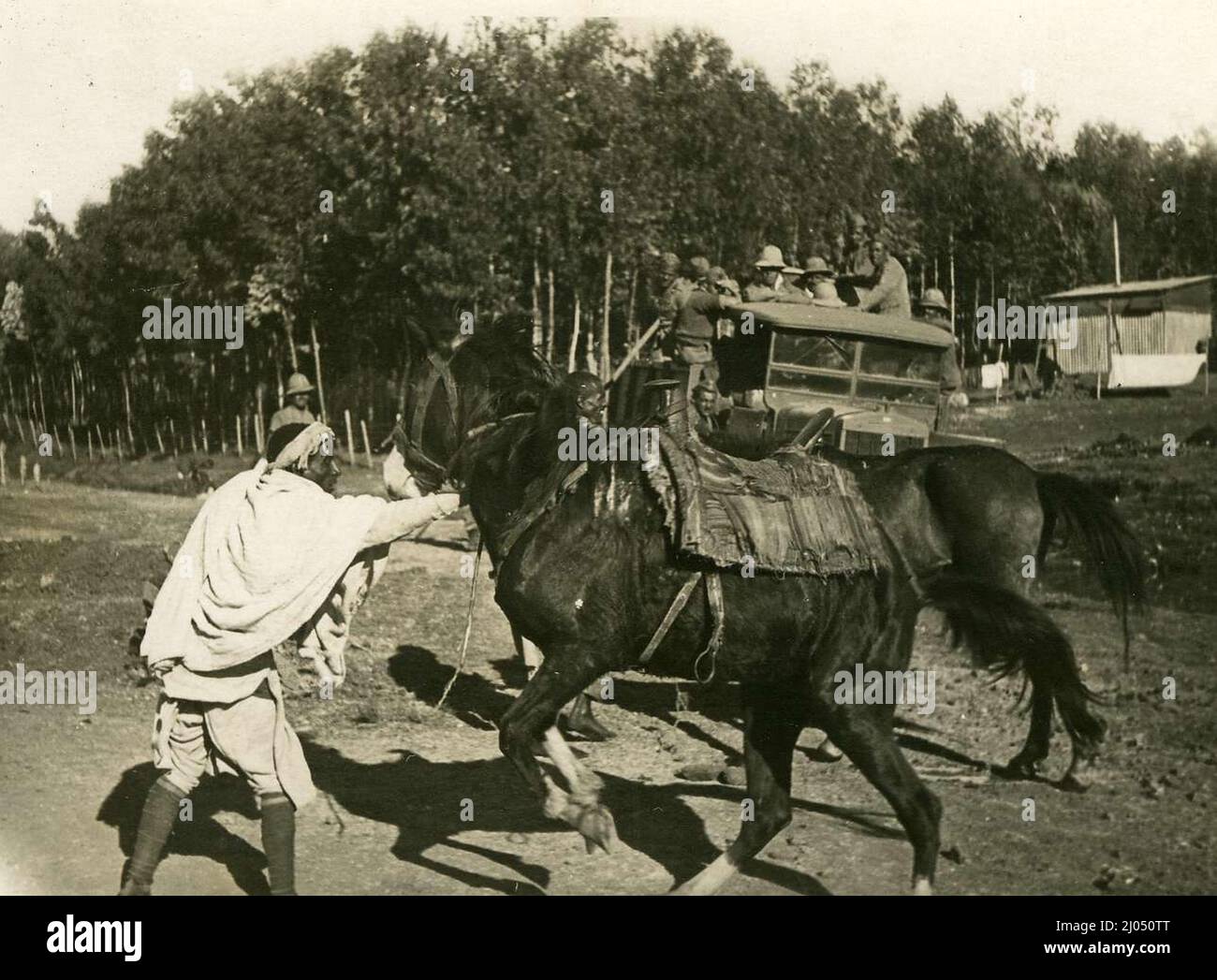 Pietro addis hi-res stock photography and images - Alamy