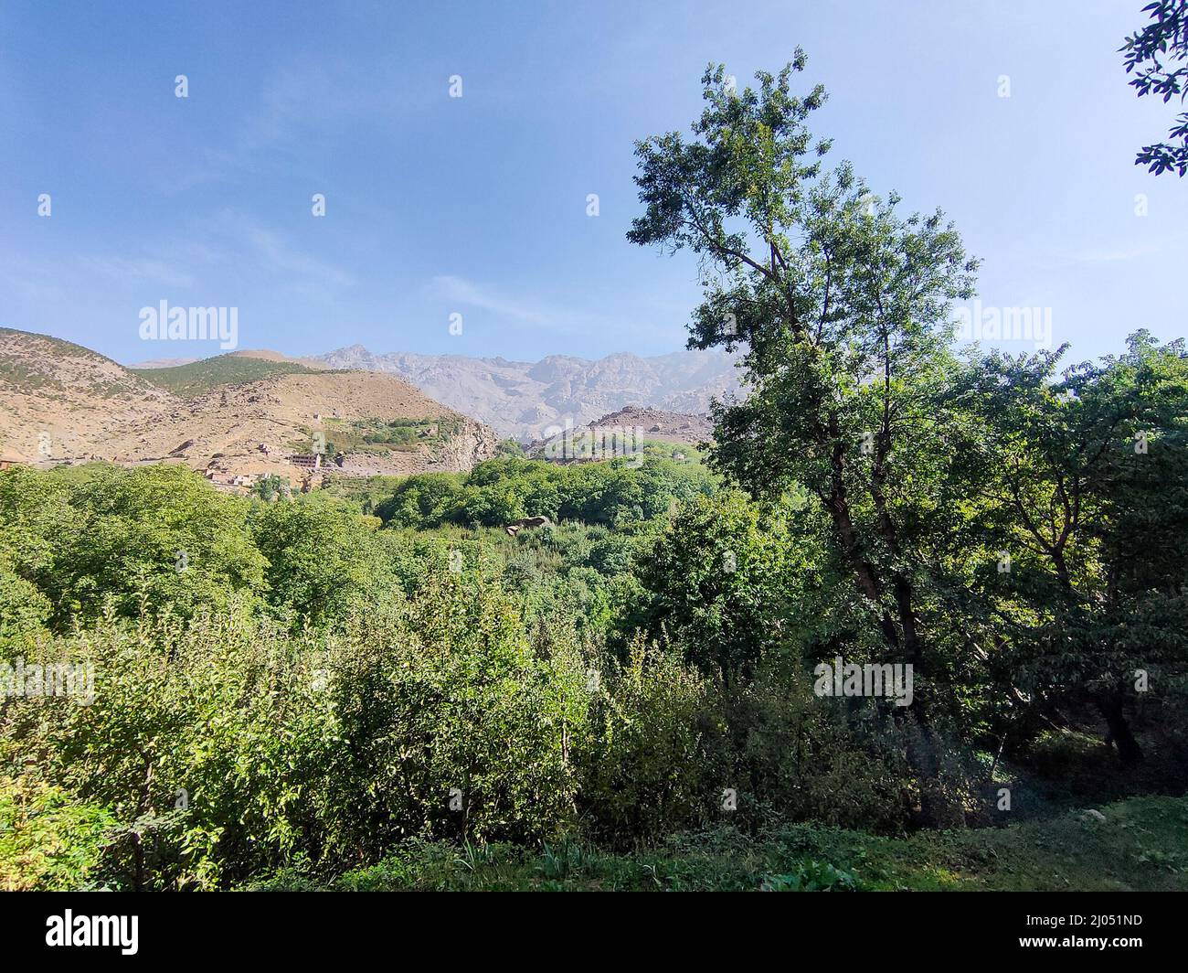 Beautiful view of Atlas Mountains with trees and greenery in Marrakech ...