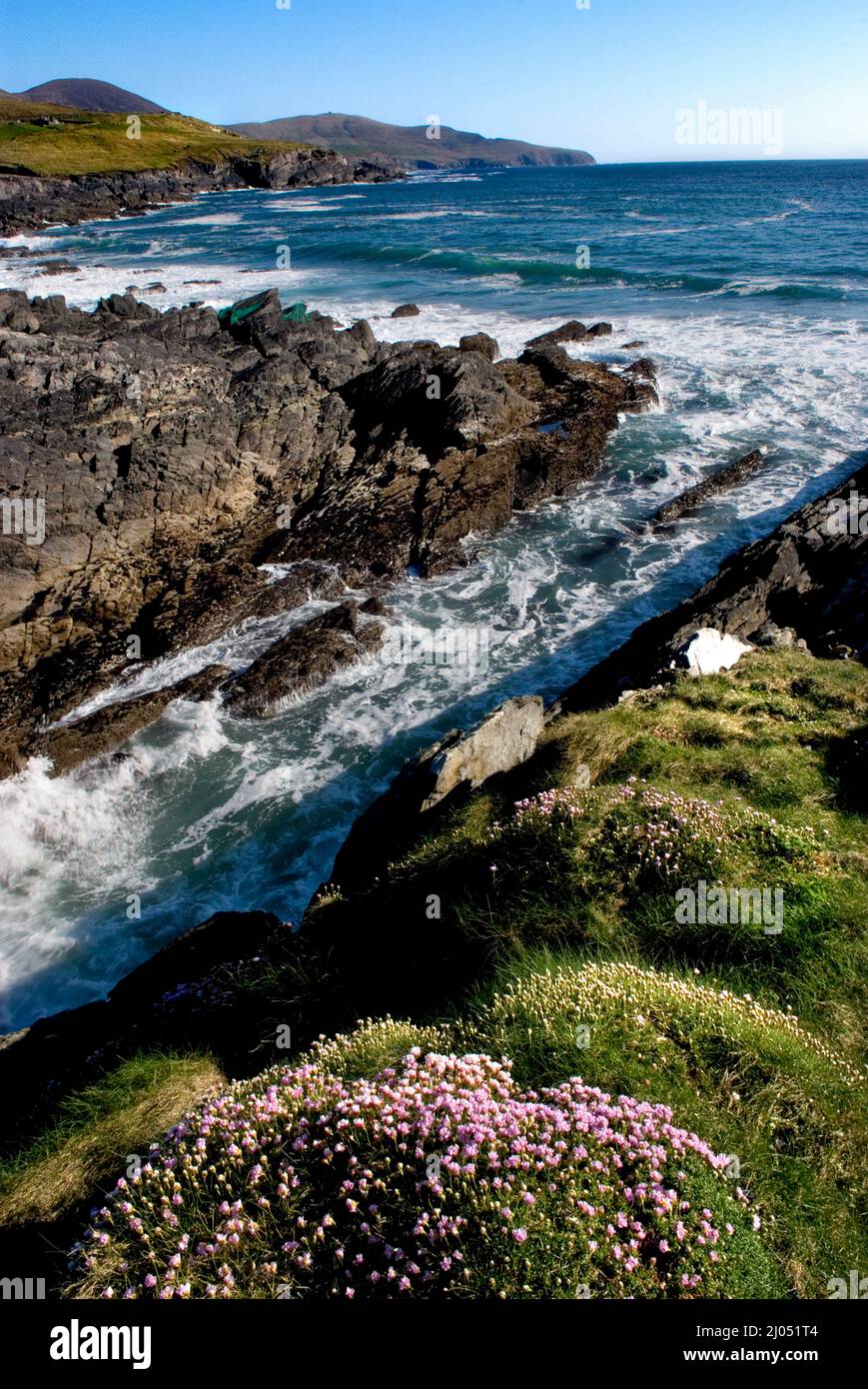 St.Finian's Bay, Ring of Kerry, County Kerry, Ireland Stock Photo - Alamy