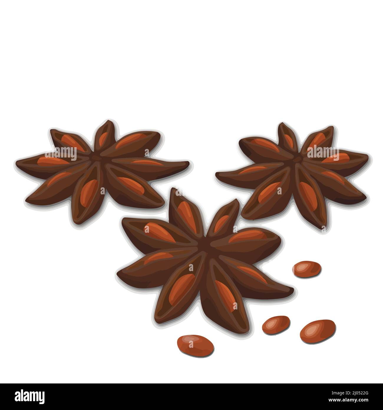 Anise stars on white background, vector illustration Stock Vector Image ...