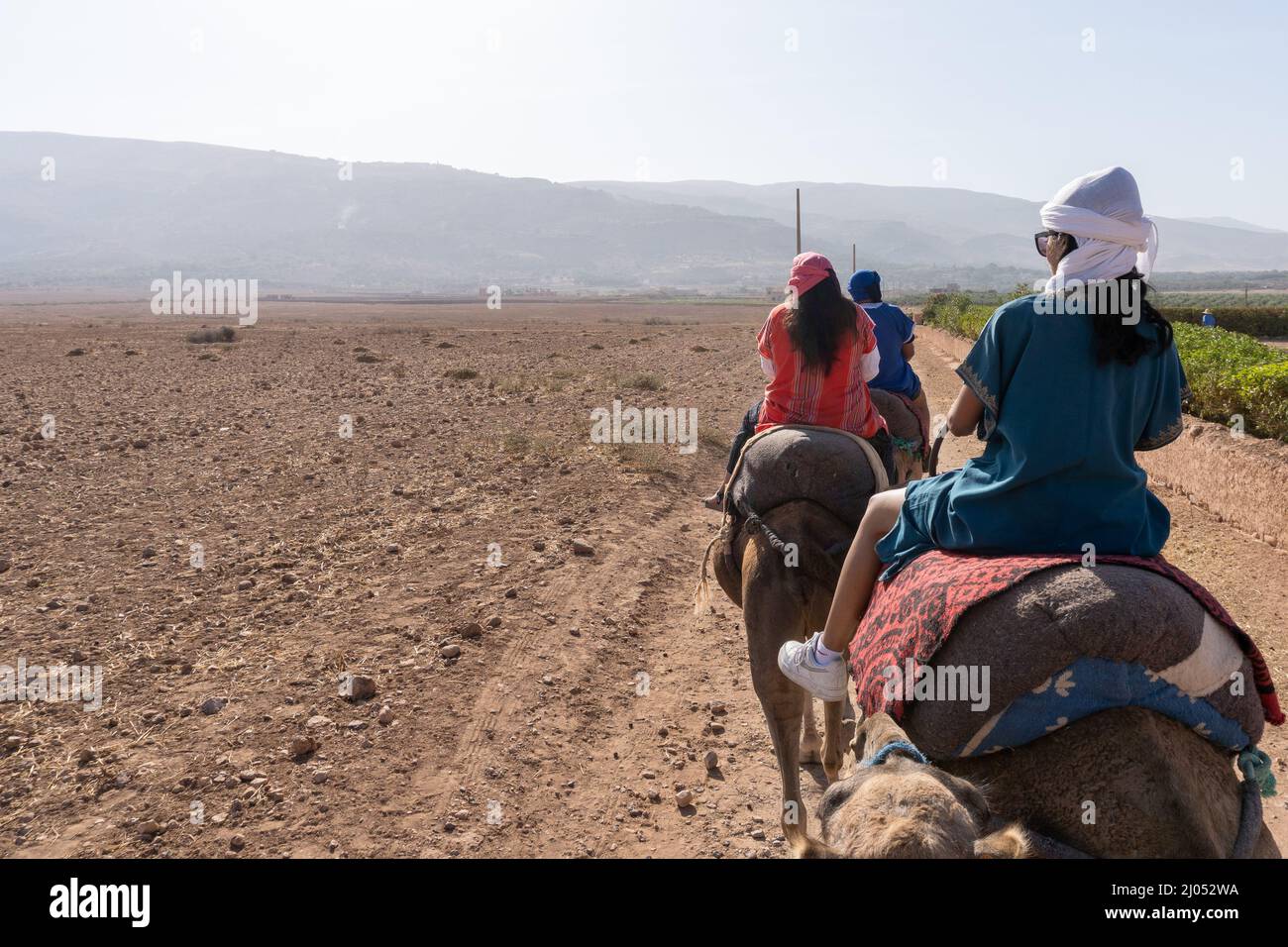Group of tourists riding camels in Marrakech, Morocco Stock Photo - Alamy