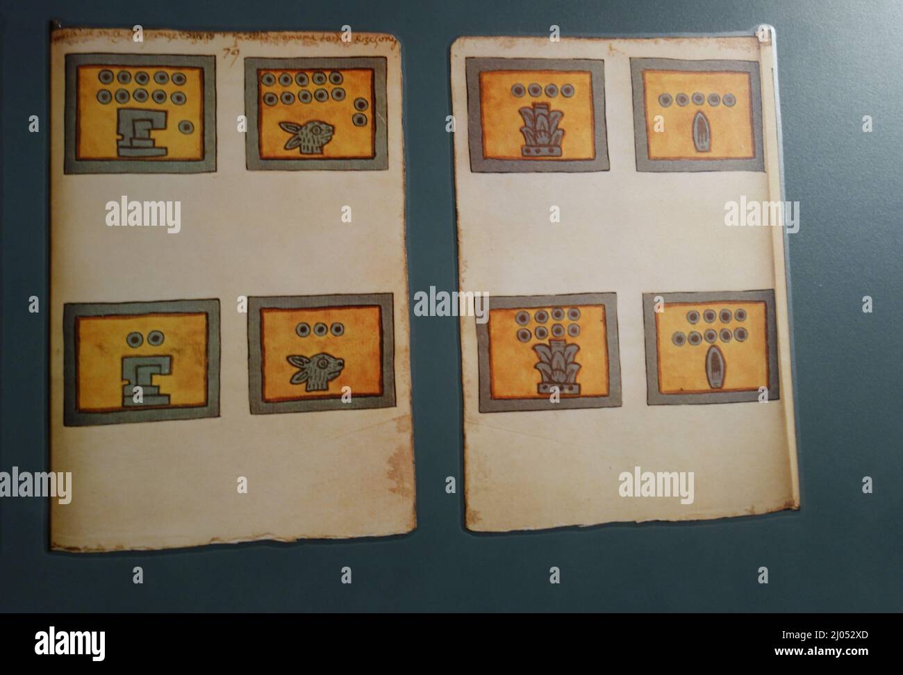 Images of the Tudela Codex in the America Museum, Madrid Spain Stock ...