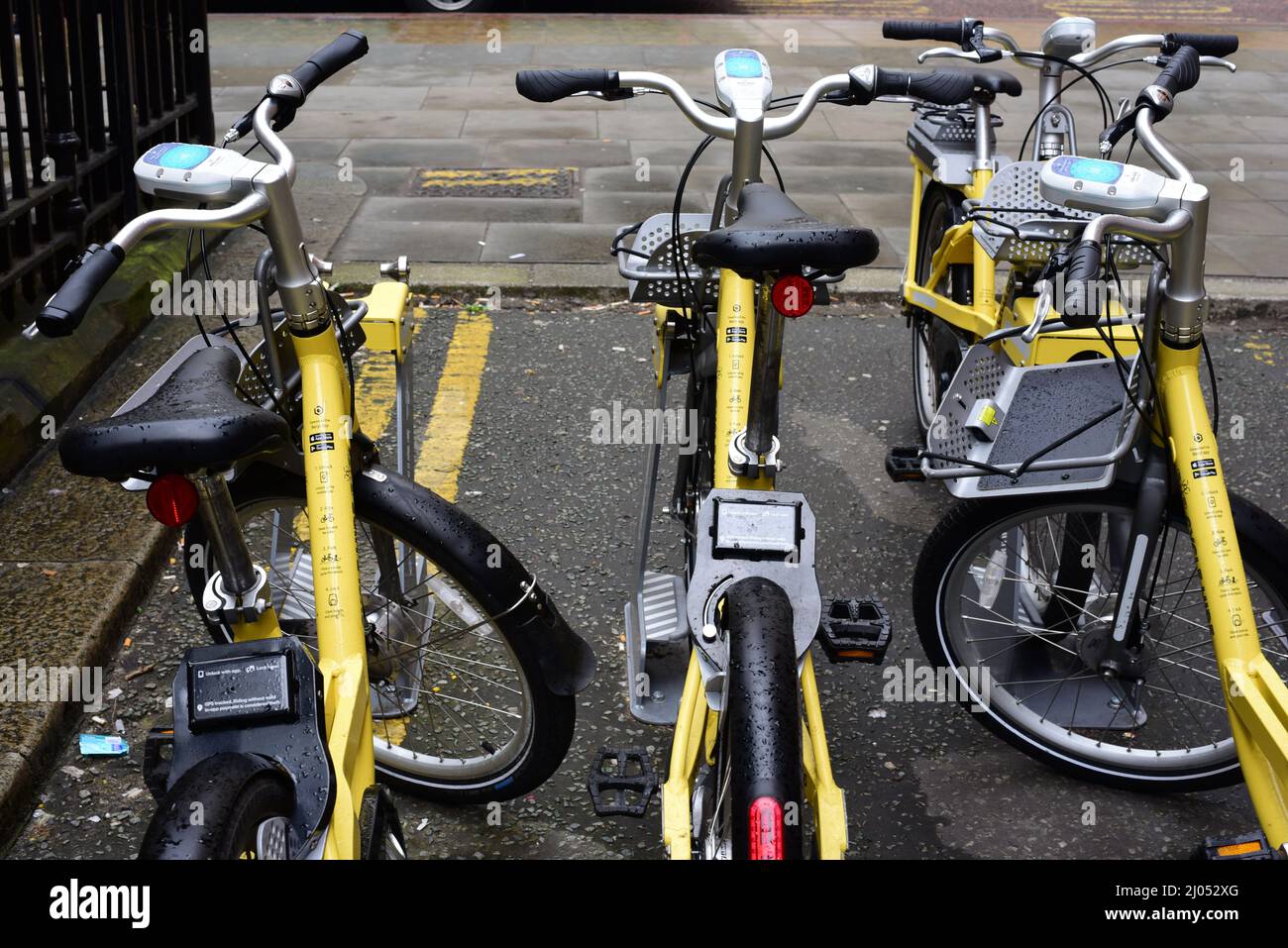 Bee network manchester hi-res stock photography and images - Alamy