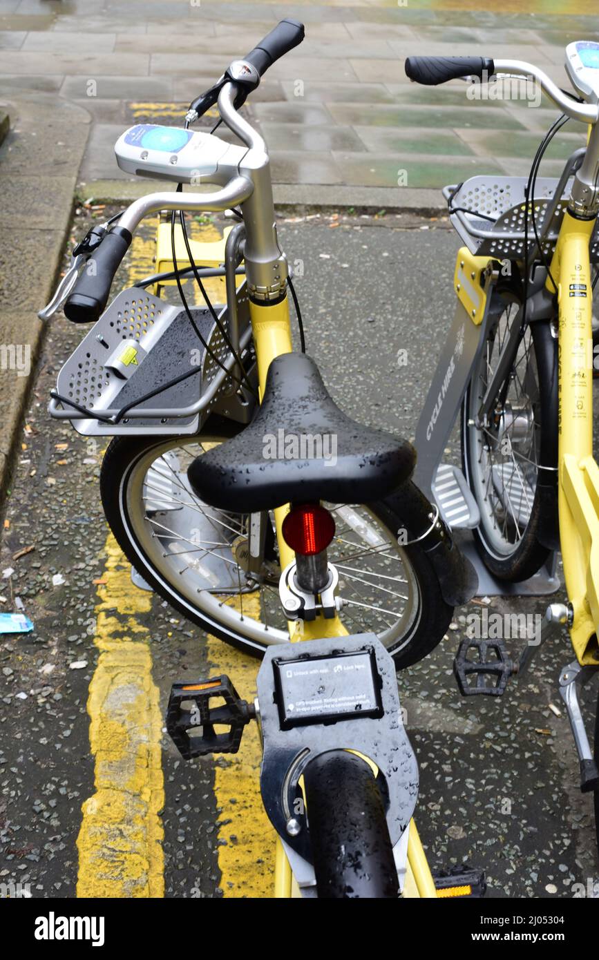 Bee network manchester hi-res stock photography and images - Alamy