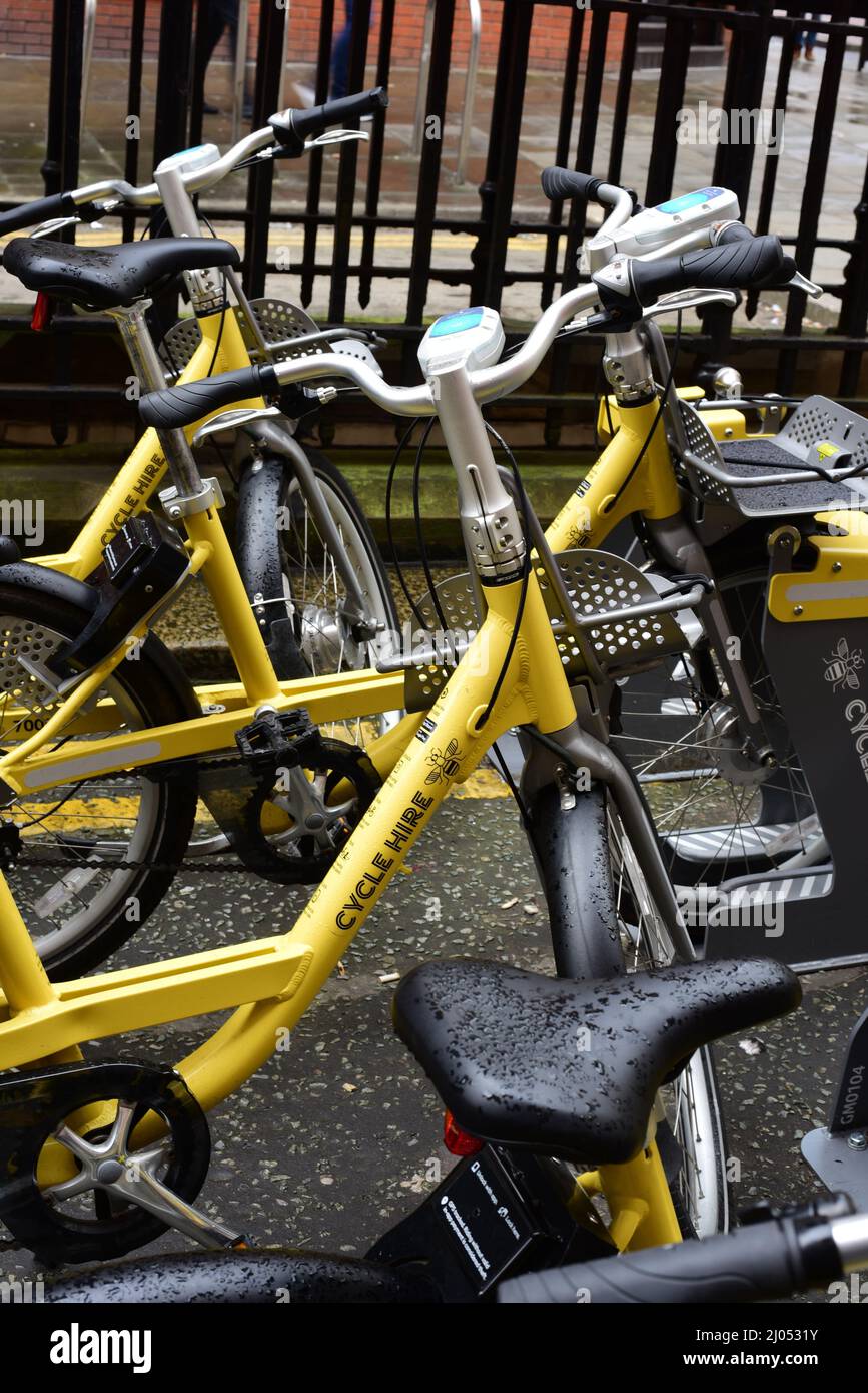 Bee network manchester hi-res stock photography and images - Alamy