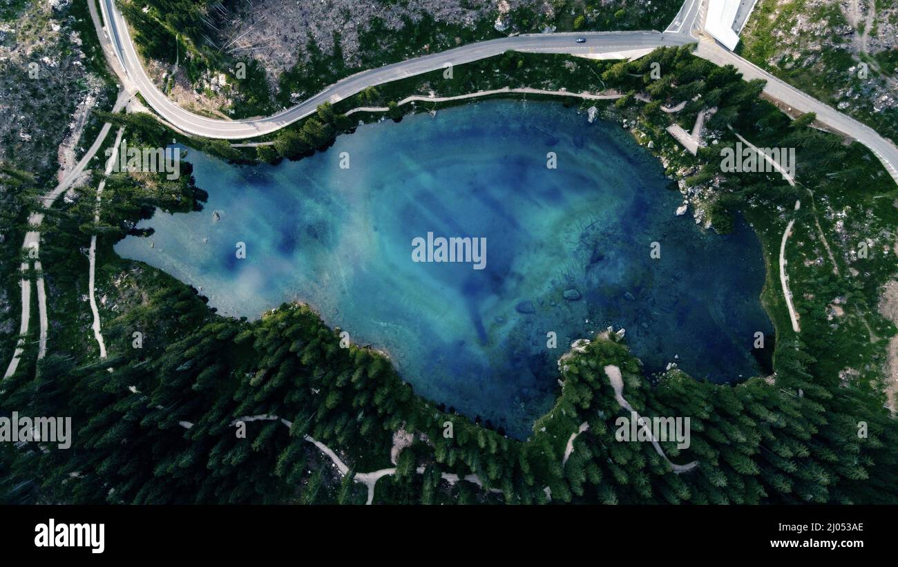 Beautiful aerial high angle landscape view of forest trees with blue ...