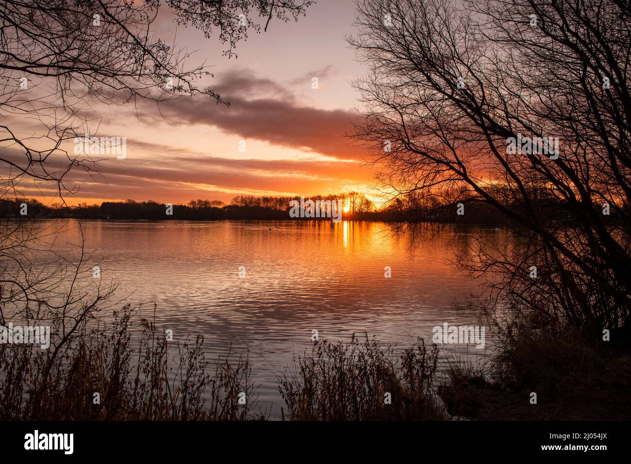 Sunrise at Colwick Park in Nottingham, Nottinghamshire England UK Stock ...