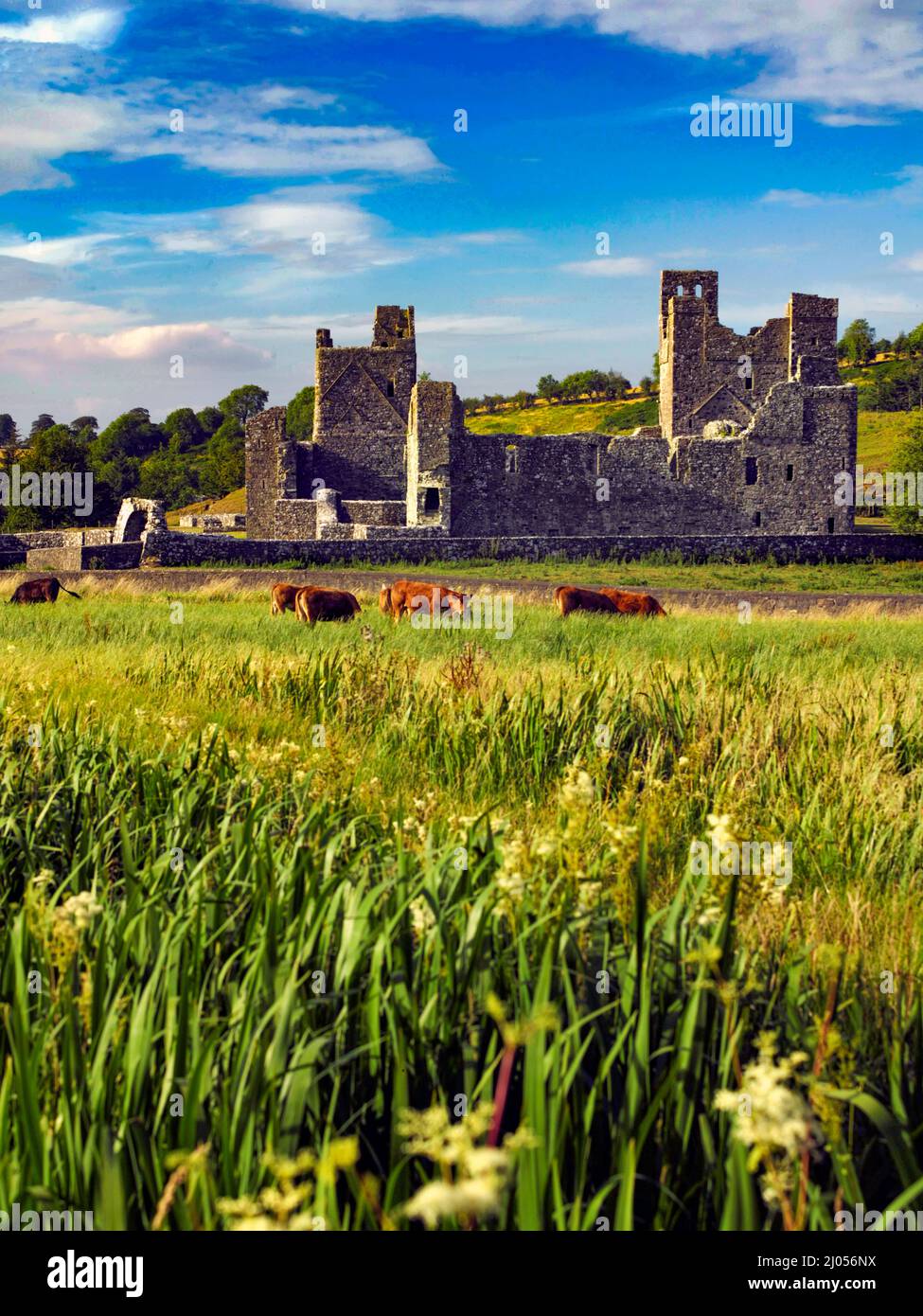 Fore ireland hi-res stock photography and images - Alamy