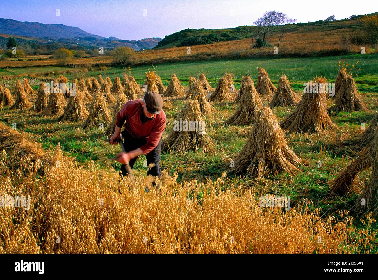 Traditional farming donegal ireland hi-res stock photography and images ...