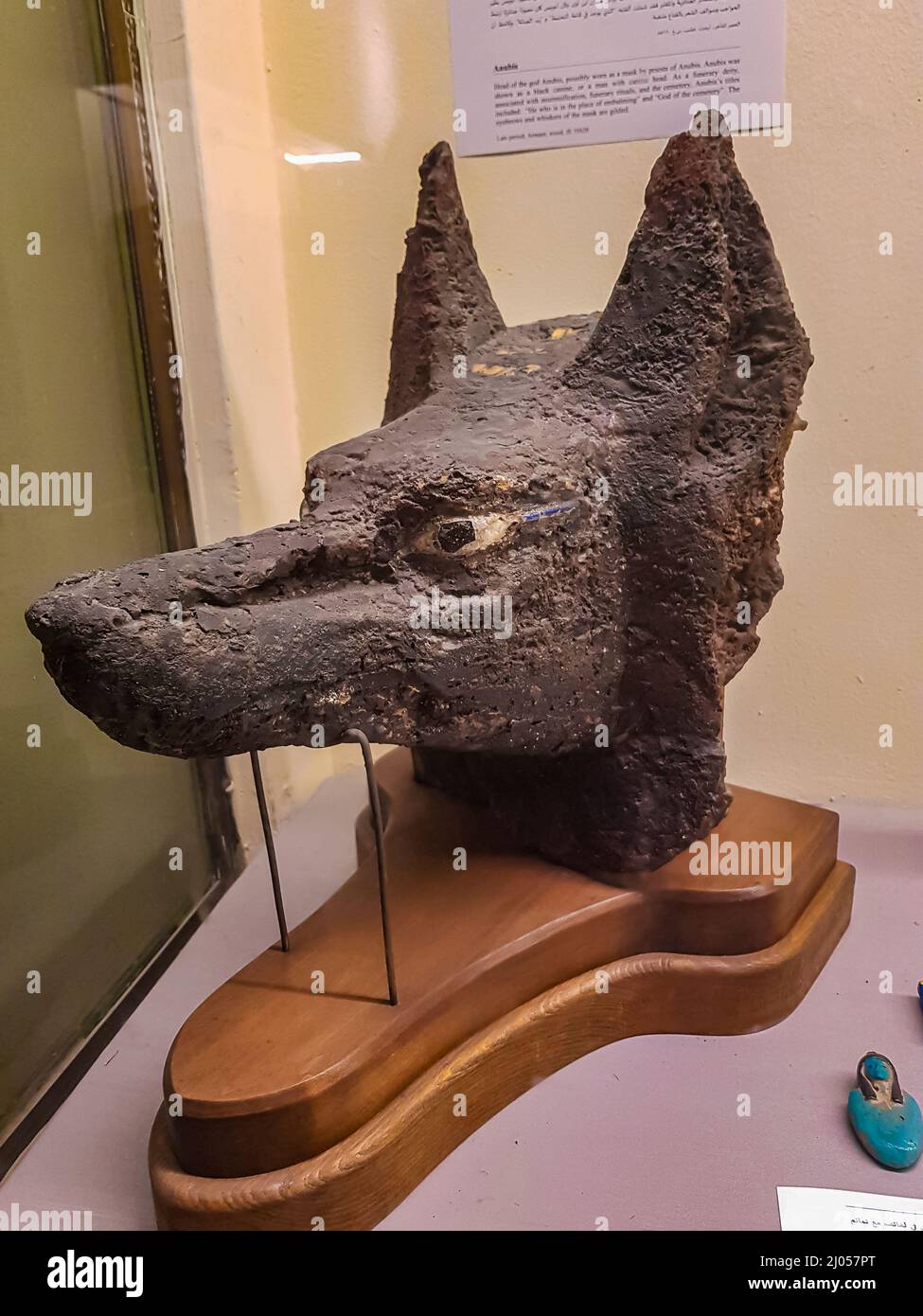 Anubis statue in egypt museum hi-res stock photography and images - Alamy