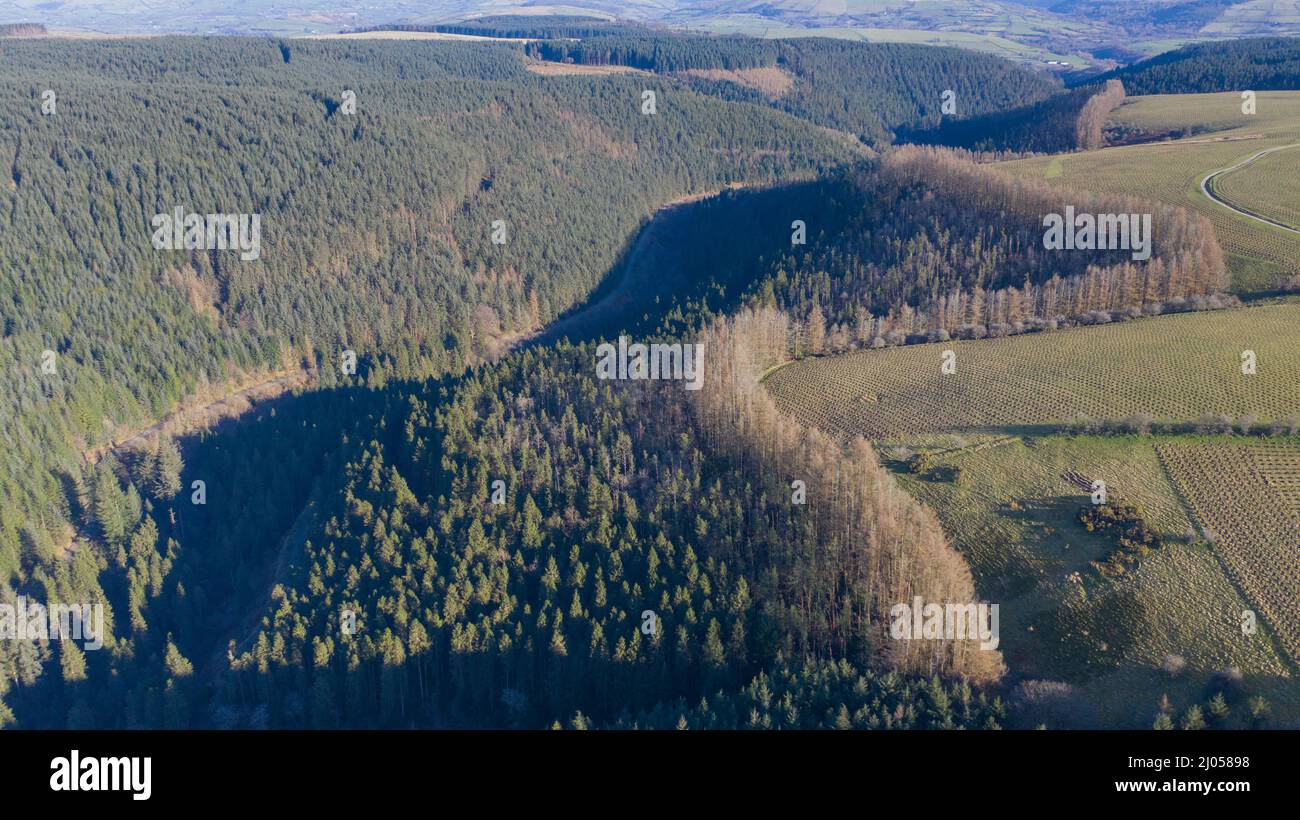 Aerial view of upland Banc farm in The Brechfa Forest being prepared ...