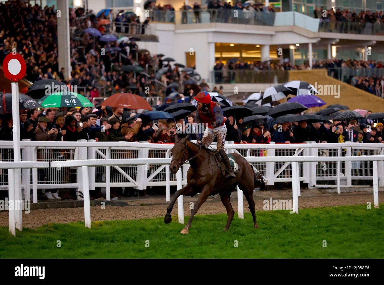Facile vega horse hi-res stock photography and images - Alamy