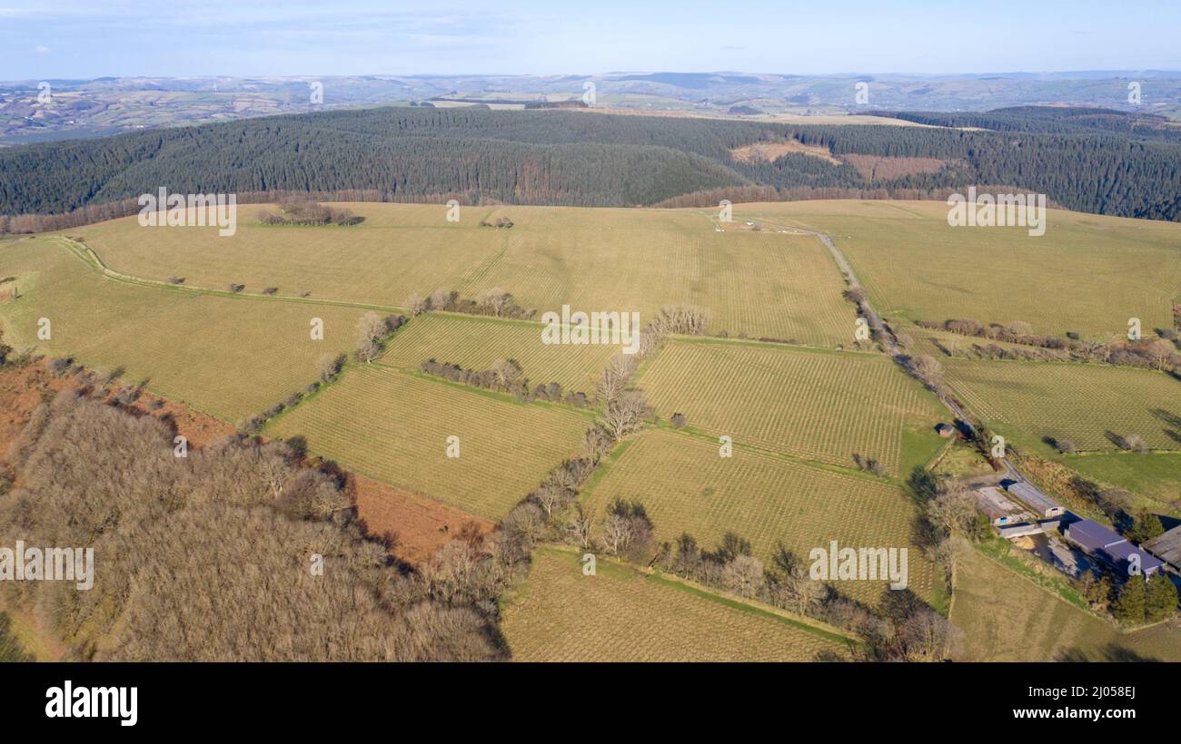 Aerial view of upland Banc farm in The Brechfa Forest being prepared ...