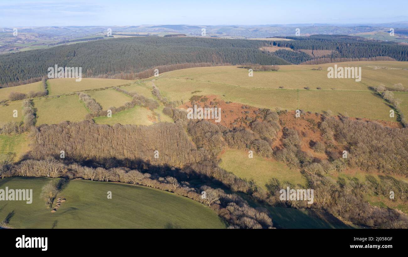Aerial view of upland Banc farm in The Brechfa Forest being prepared ...