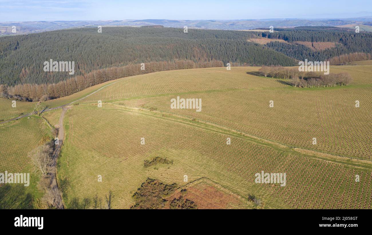 Aerial view of upland Banc farm in The Brechfa Forest being prepared ...