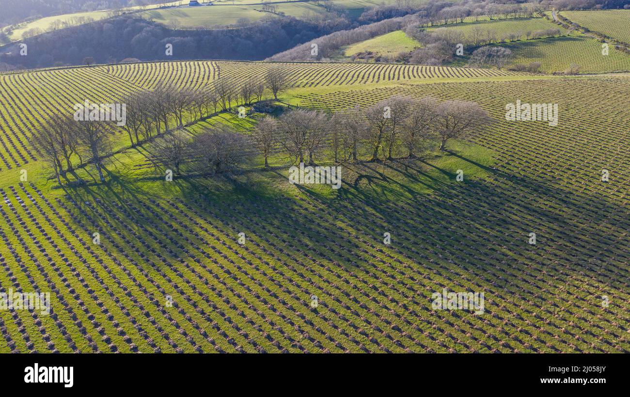 Aerial view of upland Banc farm in The Brechfa Forest being prepared ...