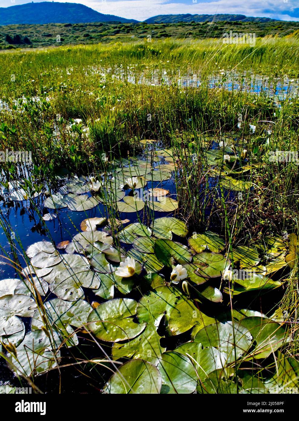 Gougane Barra, County Cork, Ireland Stock Photo - Alamy