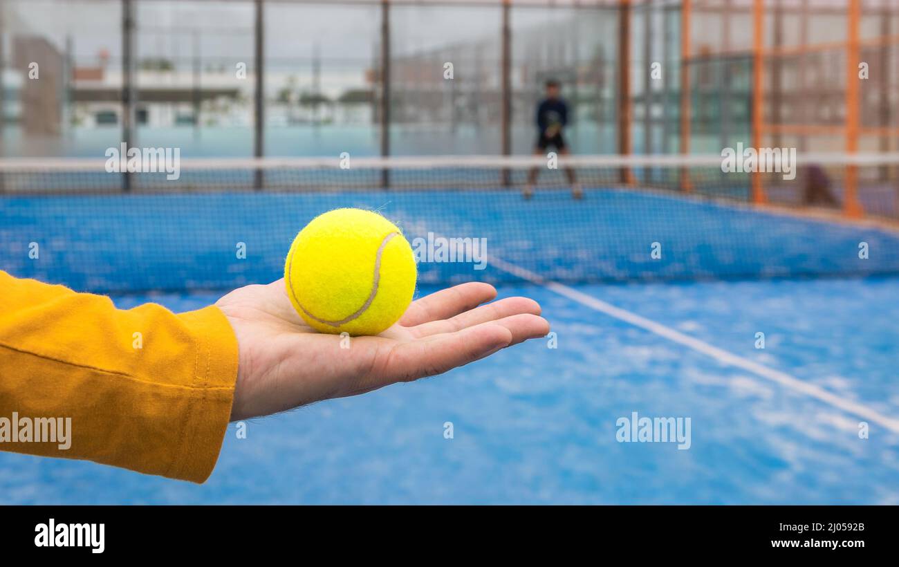 Male hand holding paddle tennis ball. Professional player starting set ...