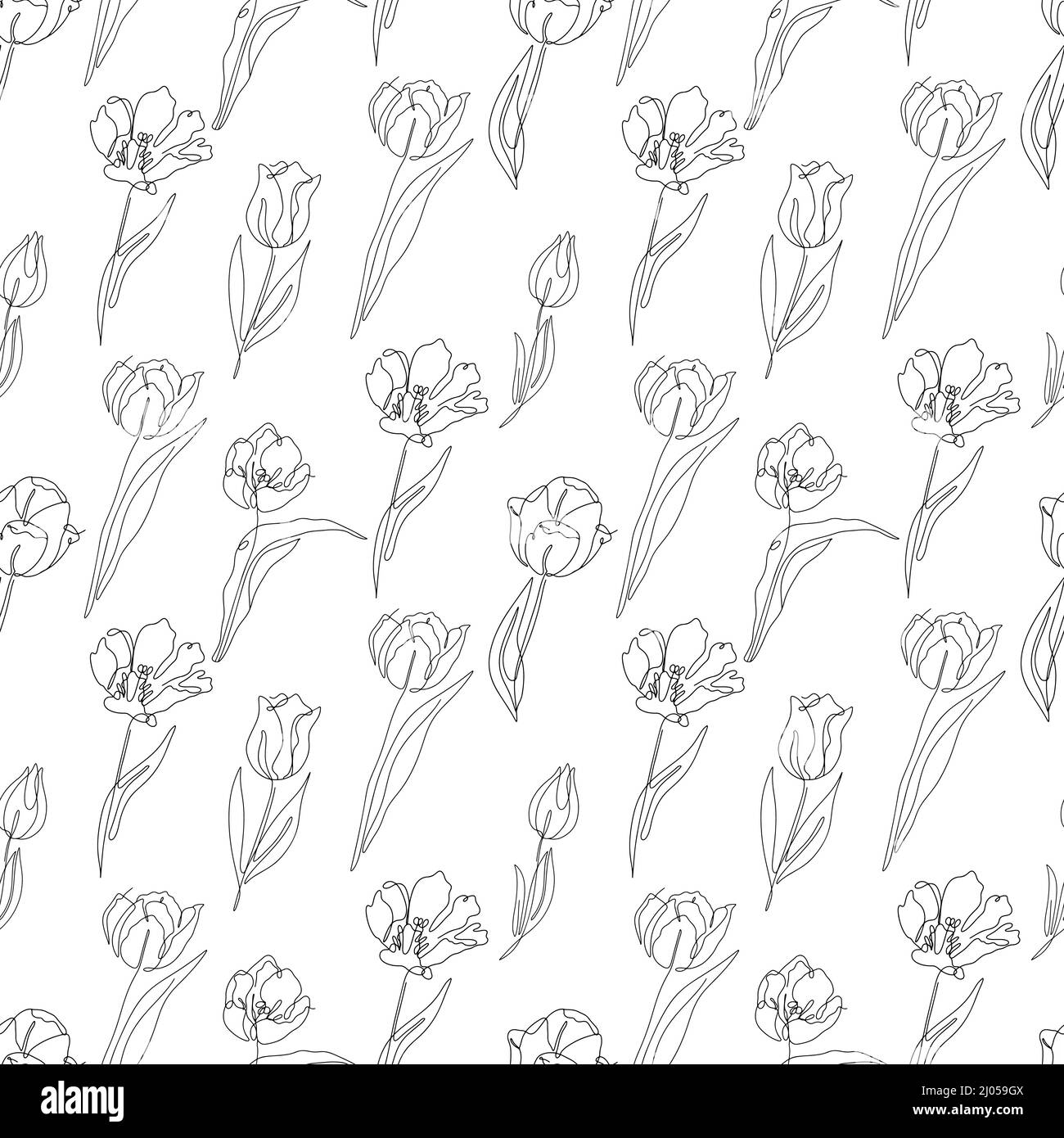 Monochrome seamless pattern with single line tulip flowers drawings ...