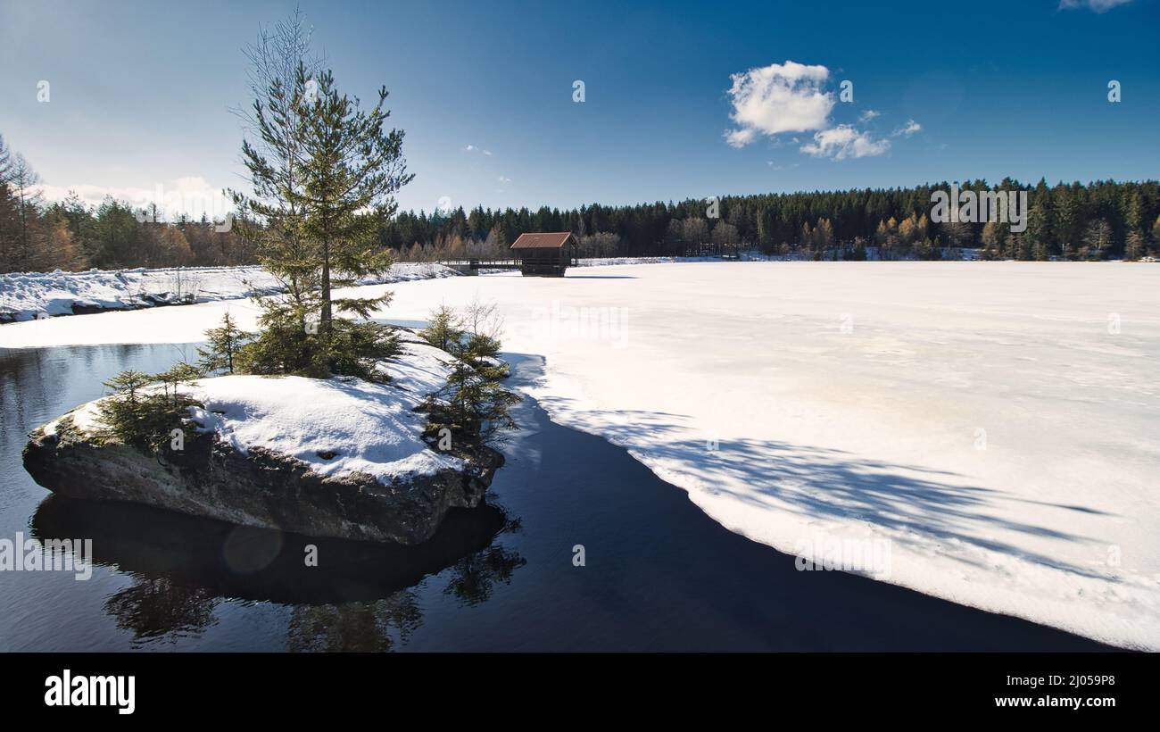 Small pine tree growing on a huge rock in the pond next to a field ...