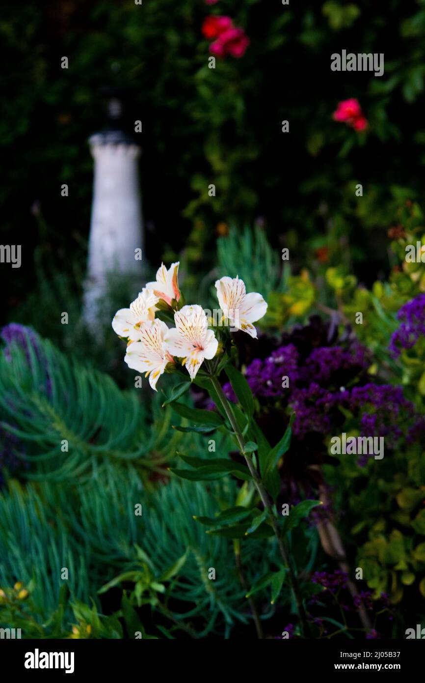 Beautiful garden flowers and lighthouse artwork Stock Photo - Alamy