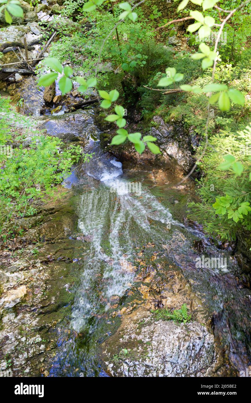 Vertical top view of a stream flowing through rocks and greenery Stock ...