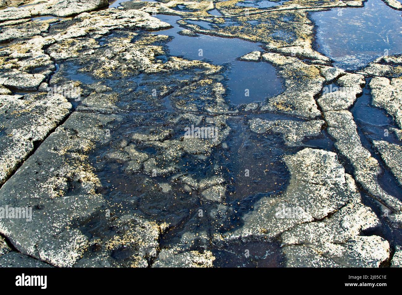 beautiful stone structure at the coast line Stock Photo - Alamy