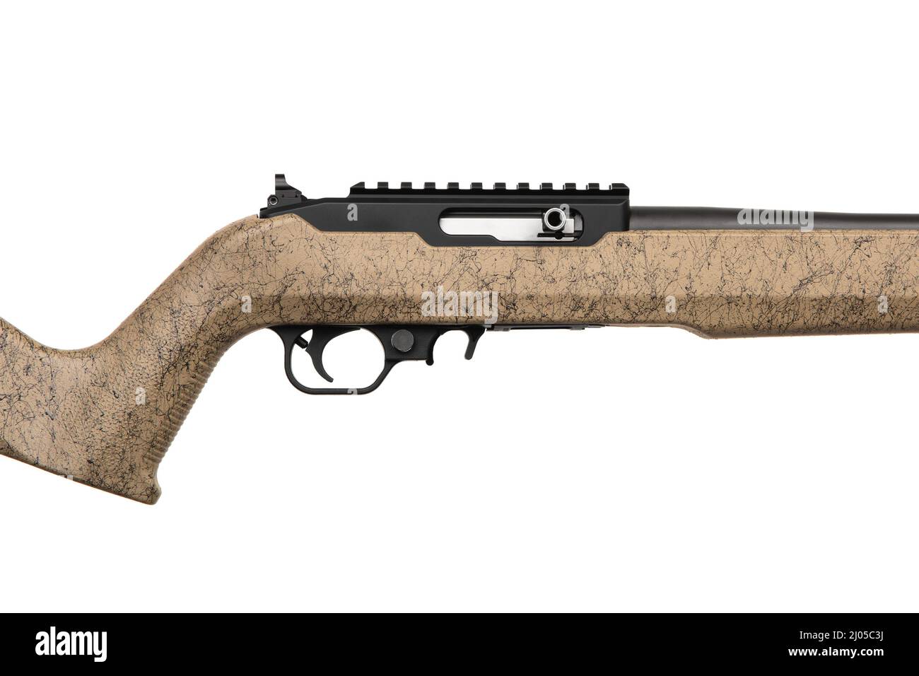 Modern semi-automatic small-caliber .22lr rifle. Sports carabiner .22lr ...