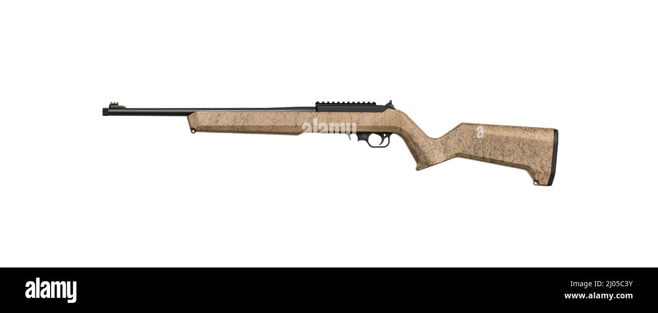 Modern semi-automatic small-caliber .22lr rifle. Sports carabiner .22lr ...