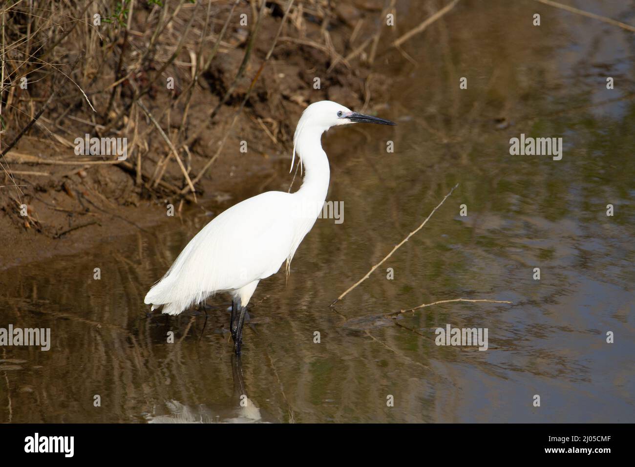 Family fishing swamp hi-res stock photography and images - Alamy