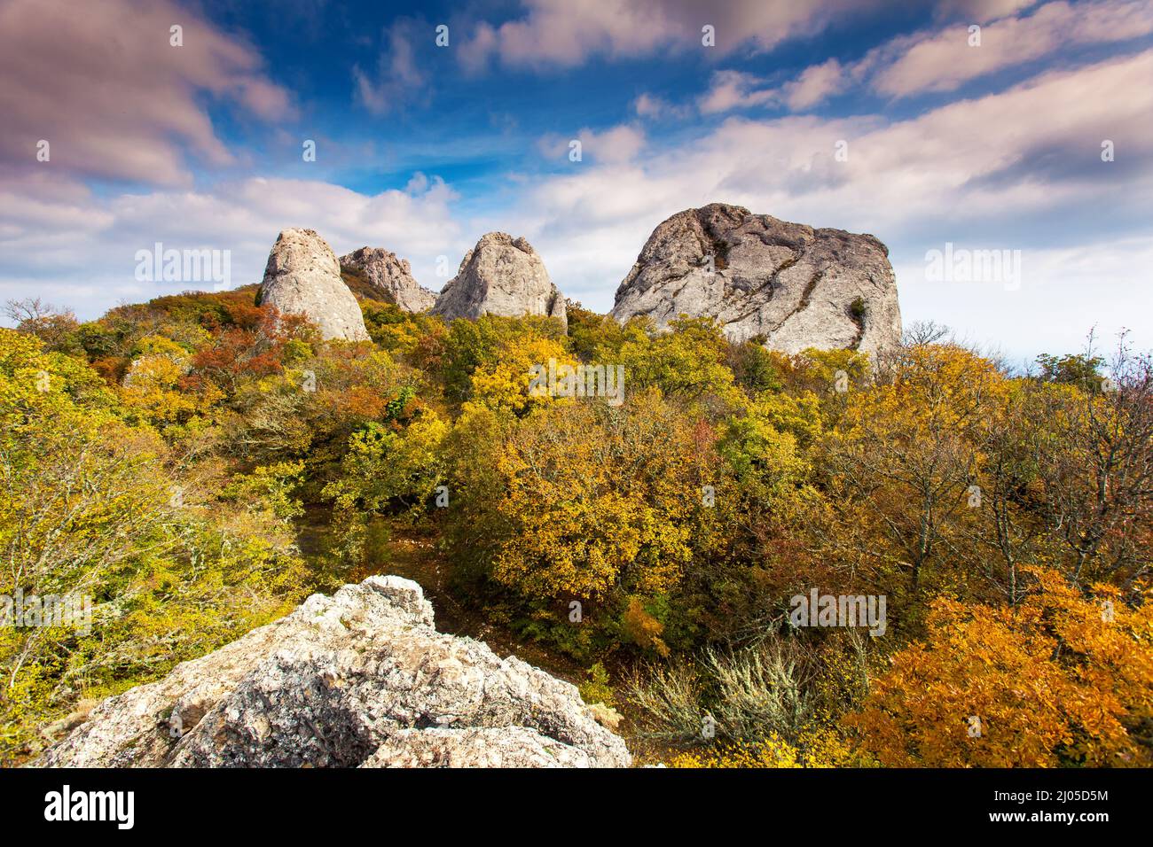 Majestic morning mountain landscape with colorful forest. Autumn leaves ...
