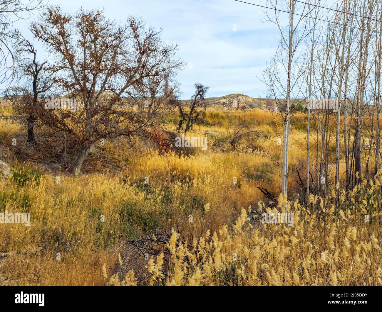 Spring arrives to the countryside of the town of Orce in Granada Stock ...
