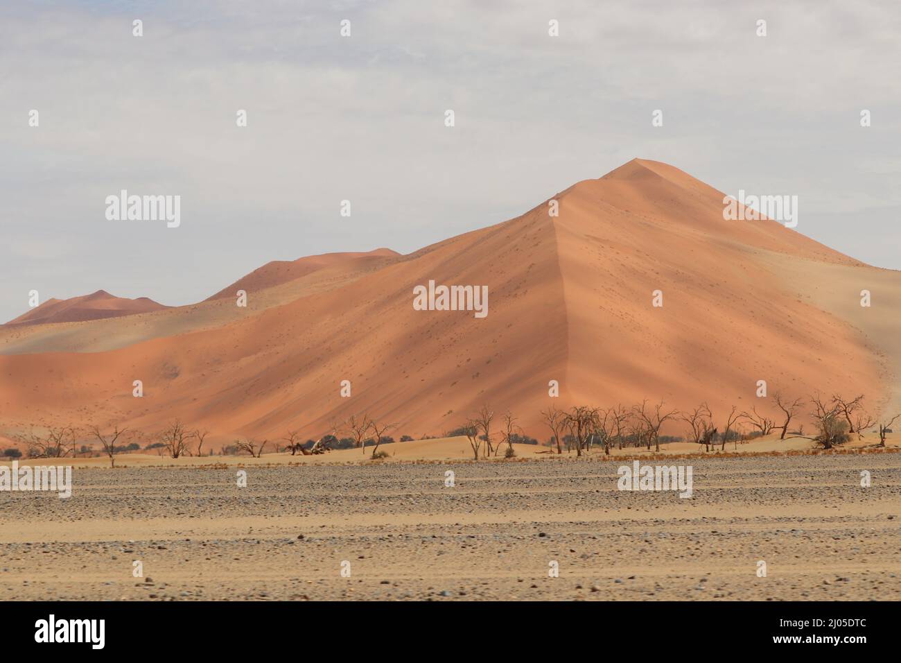 Desert landscape in Namibia Stock Photo - Alamy