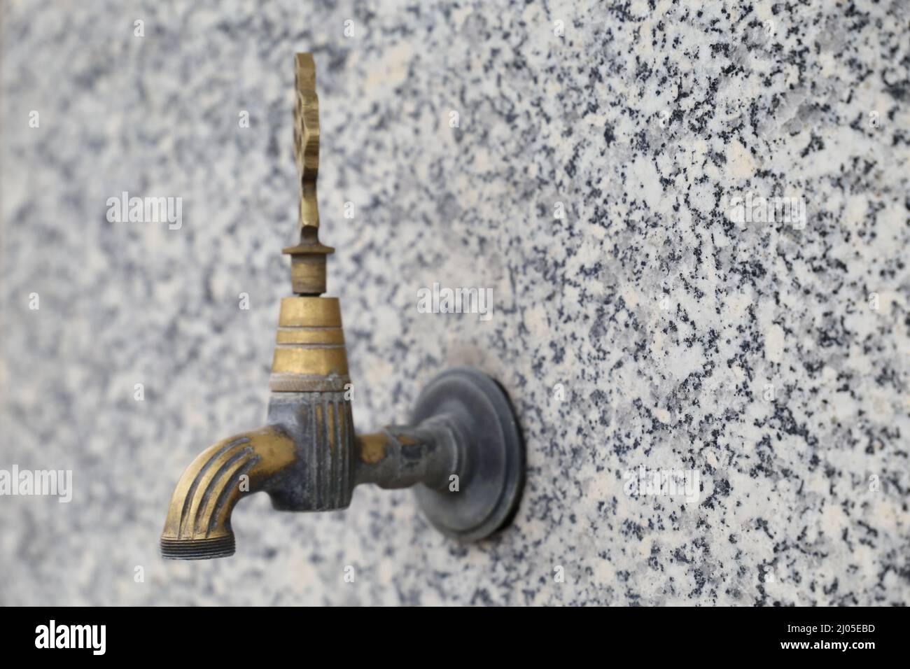 Nature Landscape Park Trees Birds Background Stock Photo - Alamy