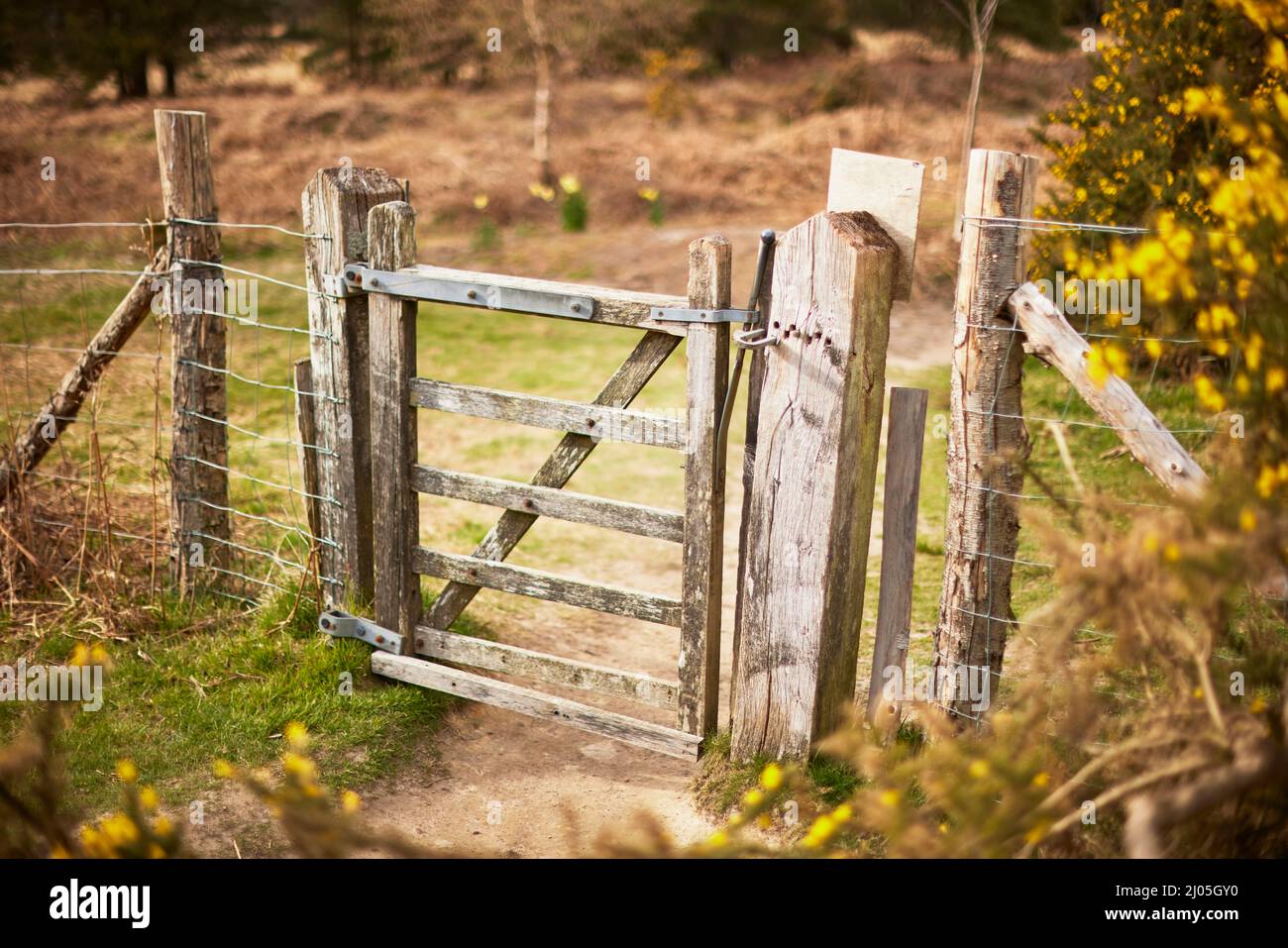 Wooden gate Ashdown Forest Stock Photo - Alamy