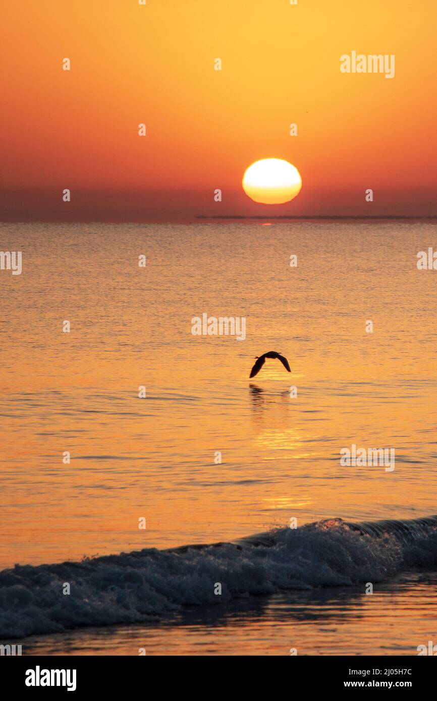 Beautiful lake sunset low flying hi-res stock photography and images ...