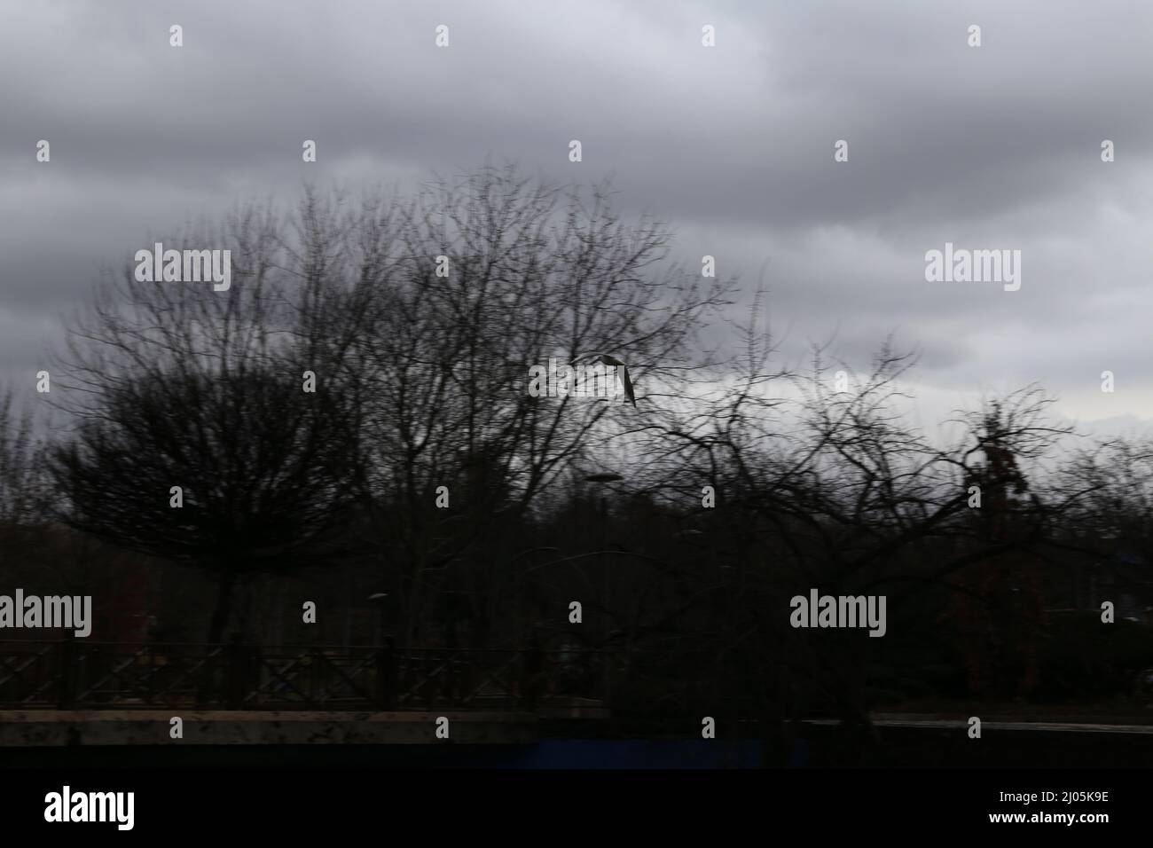 Nature Landscape Park Trees Birds Background Stock Photo - Alamy