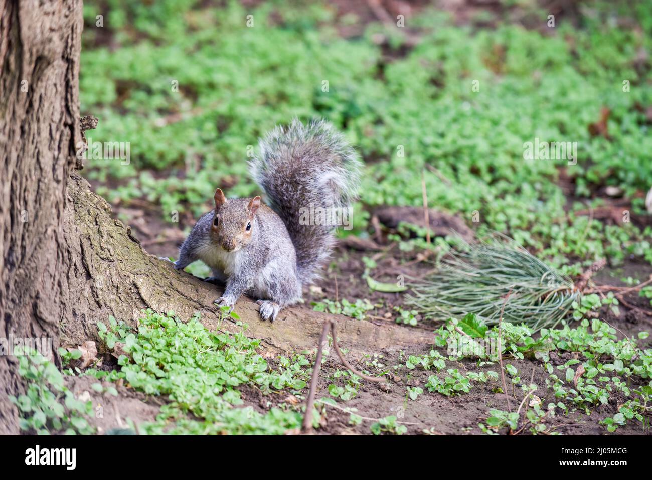 Facing the camera hi-res stock photography and images - Alamy