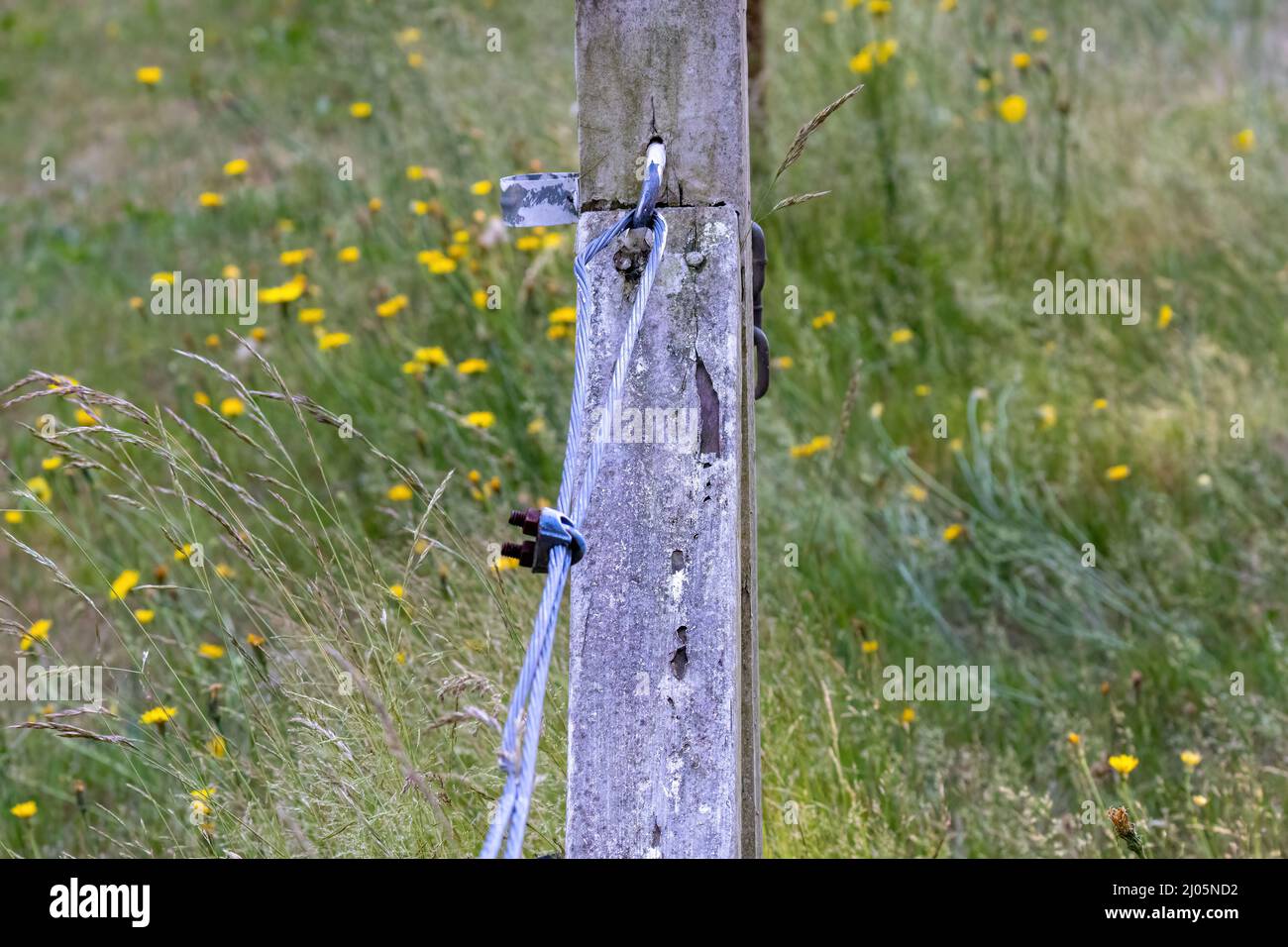 metal wire attached to wooden posts used as a fence Stock Photo - Alamy