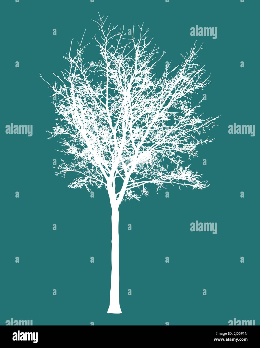 3d render of white tree silhouette illustration on isolated green ...