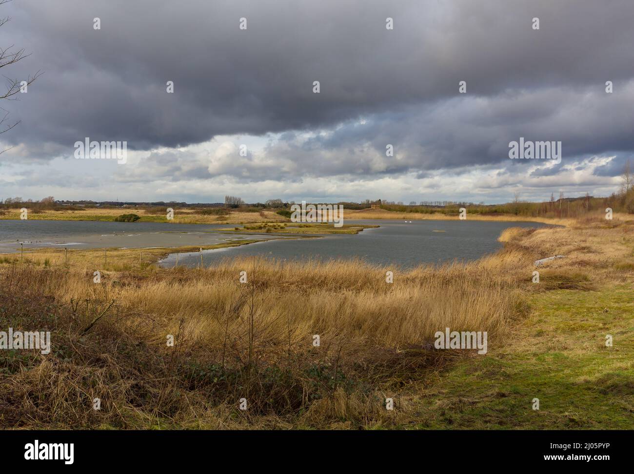 North Cave Wetlands in East Yorkshire, an important nature reserve for ...