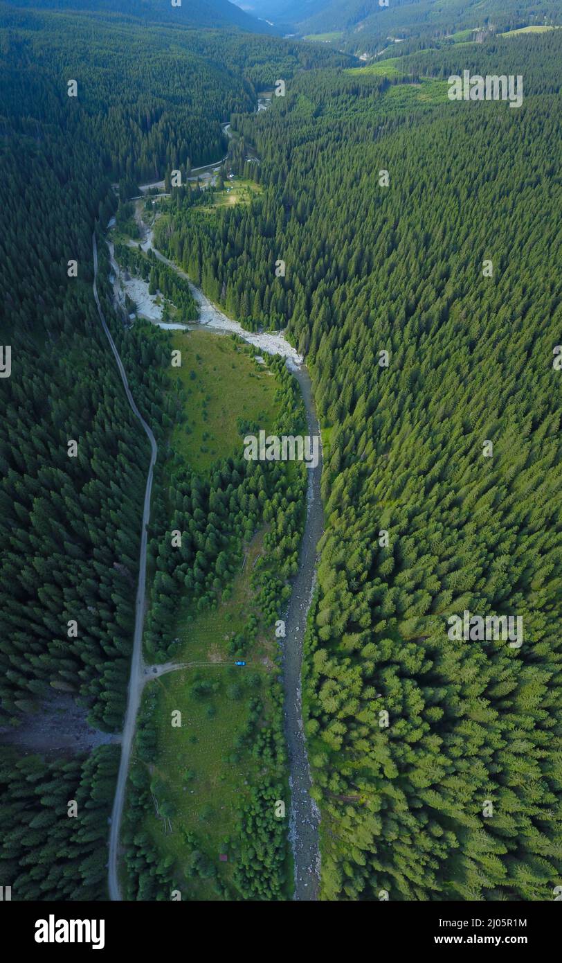 Coniferous mountain forest hi-res stock photography and images - Alamy