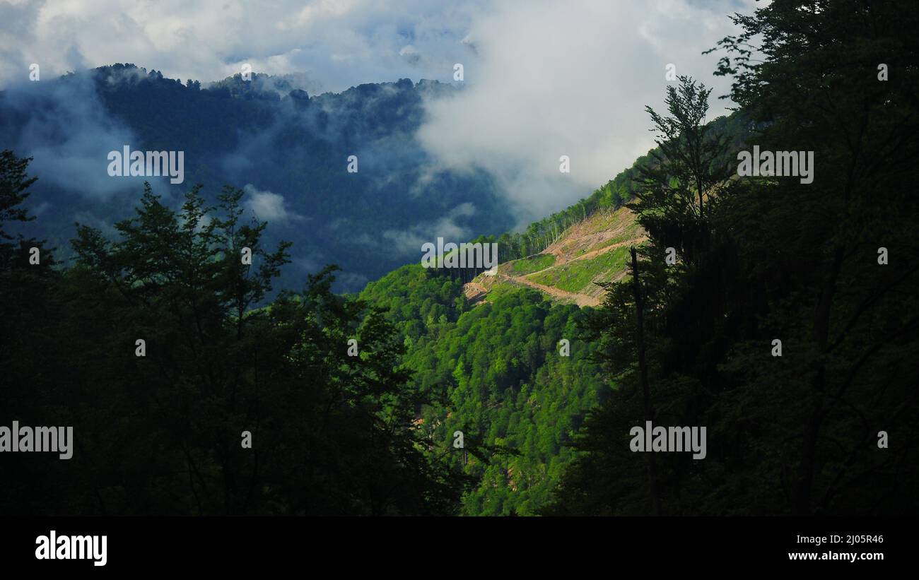 Rain clouds are covering the mountain peaks of Lotru Massif. After the ...